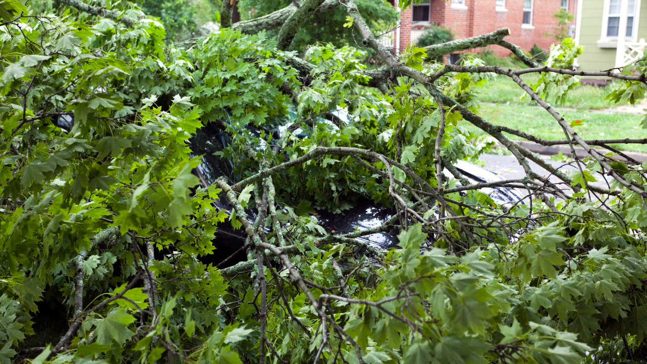 Best Junk Removal in Englewood, CO - Junk Panda